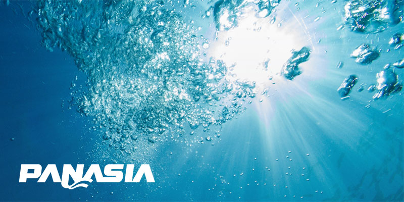 Panasia Equipment Solutions - Calvey Marine